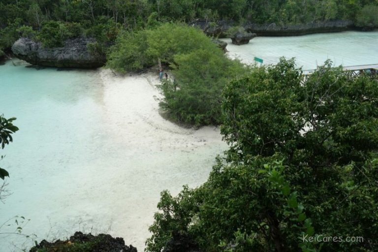 A stunning day trip to Bair island! - Kei Cares