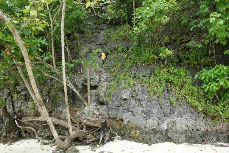 A stunning day trip to Bair island! - Kei Cares