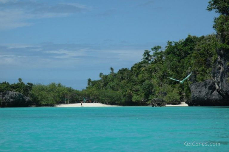 A stunning day trip to Bair island! - Kei Cares